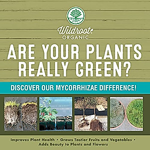 Wildroot Organic Mycorrhizae 16 Species Mycorrhizal Inoculant Drought Proof’s Plants &Trees, Saves Water & Precious Fertilizer, Root Stimulator Explodes Root Growth (1oz - 211 Plants)