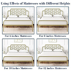 Amyove Gold Metal Queen Size Bed Frame with Headboard and Footboard, 12.6 Inches Metal Mattress Foundation for Storage, No Box Spring Needed, Easy Assembly, Modern Style Furniture (Branch)