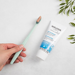 Weleda Natural Salt Toothpaste, 2.5 Ounce (Pack of 1)