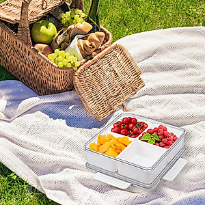 2Pack Veggie Tray with Lid for Fridge, Snackle Box Container for Party, 4 Compartment Divided Serving Trays, Food Storage Containers with Lids for Refrigerator
