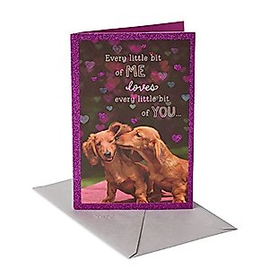 American Greetings Romantic Birthday Card (Dachshunds)