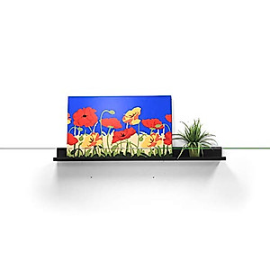 InPlace Shelving 47.24" W x 4.5" D x 3.5" H Black Picture Ledge Shelf 9602060E