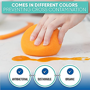 Blue Turtle – 3 Pack Donut Shape Multipurpose Sponges – Multifunction Scrub Sponge for Use on a Variety of Surfaces– Sponges for Cleaning Remove Tough Stains, Grease, Residue
