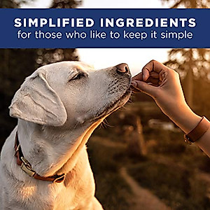 Natural Balance Limited Ingredient Diet Chicken & Sweet Potato | Adult Wet Grain-Free Canned Dog Food in Broth | 2.75 Ounce (Pack of 24)