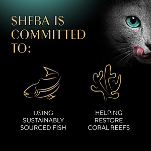 Sheba Meaty Tender Sticks Soft Cat Treats Tuna Flavor, 0.14 oz., 5 Count (Pack of 10)