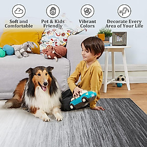Zacoo Area Rugs 9x12 Living Room Machine Washable Rugs Grey Ombre Rug Throw Rugs Non Slip Rugs for Bedroom Soft Rug with Rubber Backing Stain Resistant Carpet Large Rug 9'x12' Grey