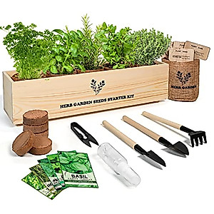 Indoor Herb Grow Kit, 5 Herb Seeds Garden Starter Kit with Complete Planting Kit & Wooden Flower Box, Growing into Basil, Parsley, Rosemary, Thyme, Mint for Kitchen Windowsill Herb Garden DIY