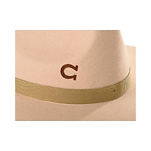 Charlie 1 Horse Hats Women's Silver Belly Highway Fedora Silverbelly M