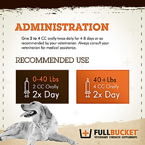 FullBucket Canine Probiotic Paste for Dogs with 12.5 Billion Probiotic CFUs, Enzymes, Prebiotics and L-Glutamine for Urgent Care, 32.5 mL Tube