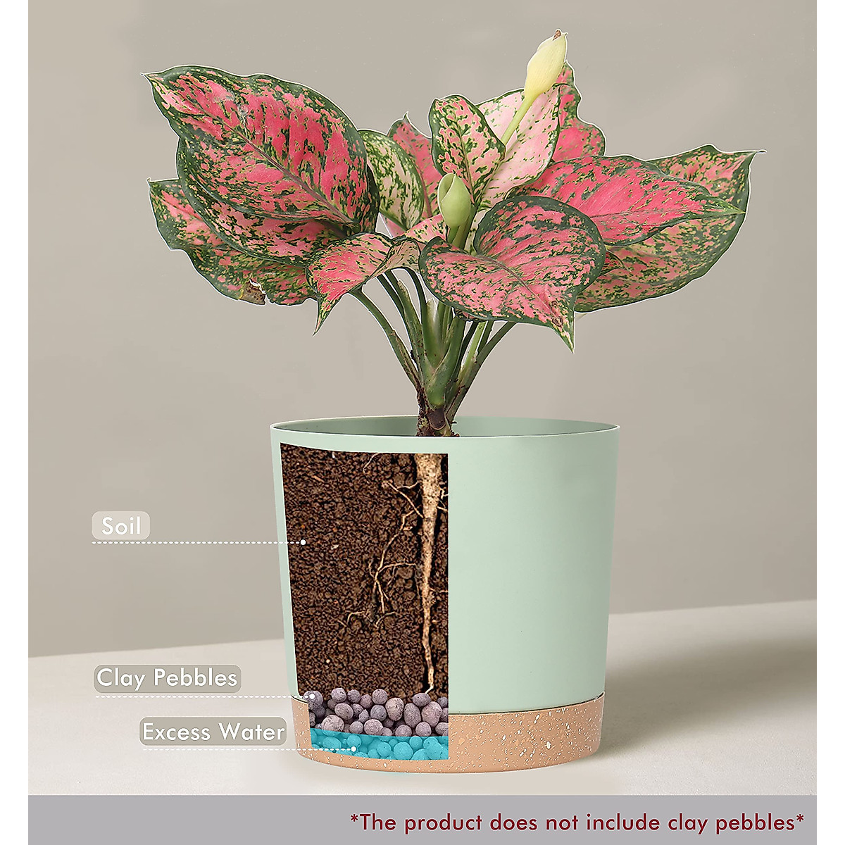 Kubvici 2 Pack 8 inch Planters