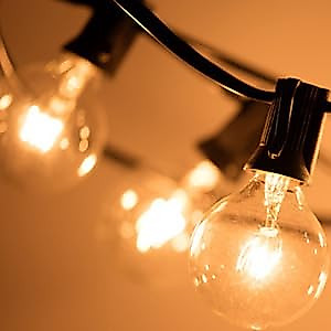 6 Pack Wax Warmer Bulbs,G50 25 Watt Bulbs for Full Size Scentsy Warmers,G16.5 Globe E12 Incandescent Candelabra Base Clear Light Bulbs for Wax Warmer,1.97 Inches,Long Last Lifespan