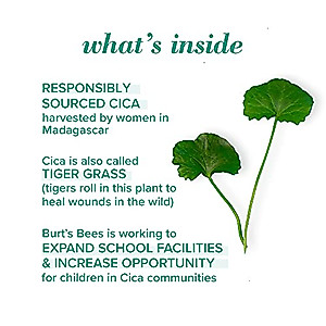 Burt's Bees Natural Acne Solutions Targeted and Minimizing Spot Treatment for Oily Skin, 0.26 Oz (Package May Vary)