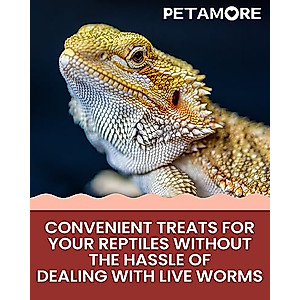 NC Grubsnack 10lbs Dried Mealworms Black Soldier Fly Larvae Mix Treats for Backyard Chickens, Scratch Feed for Backyard Flock Party Poultry Fowl Layers hens with Rich Protein and Calcium