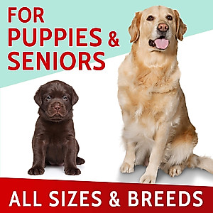 Pawfect Dog Allergy Relief Chews - Anti-Itch Skin Coat Supplement - Itchy Skin Relief Treatment Pills w/ Omega 3 Fish Oil - Itching & Paw Licking - Dry Skin & Hot Spots - 120 Immune Treats - Bacon