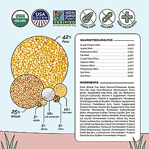 Mile Four | Layer Chicken Feed | Organic, Non-GMO, Corn-Free, Soy-Free, Non-Medicated Chicken Food | Adult Poultry, Roosters, Chickens, Ducks, Geese & Gamebirds | 16% Protein | Whole Grain | 23 lbs.