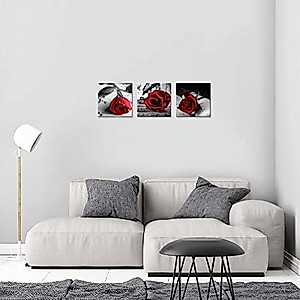 NAN Wind Canvas Print 3 Pcs Black and White Red Rose Canvas Art Painting Abstract Wall Art Decorations Flower Picture on Canvas for Home Decor Stretched and Framed