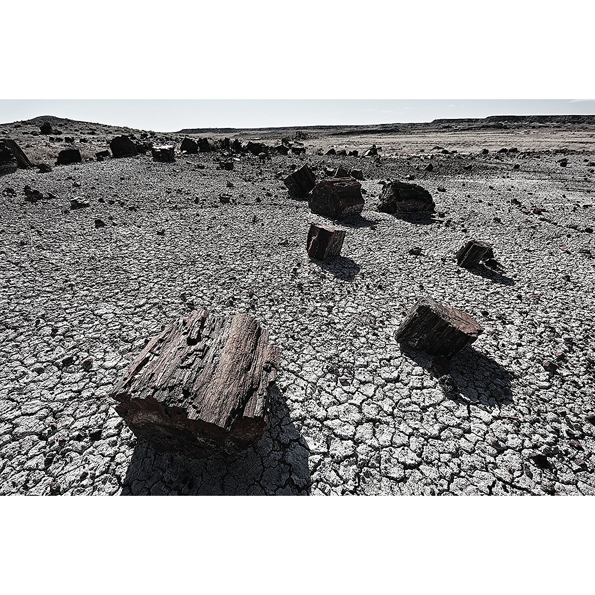 Sigma 8-16mm f/4.5-5.6 DC HSM FLD AF Ultra Wide Zoom Lens for APS-C sized Sony Digital DSLR Camera