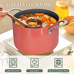 Flamingpan 5.5 Quart Nonstick Stock Pot, Ceramic CoatingStockpot, Casserole Oven Safe & Easy to Clean,Stock Pot Suitable for Any Cooktop & Dishwasher,Durable for Using, Pot for Kitchen & Dinning