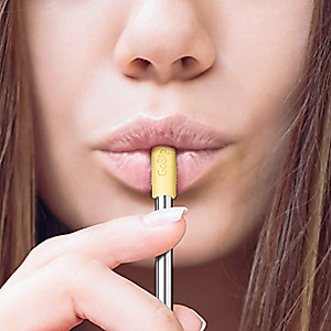 Final Touch GoSip 3-in-1 Reusable Stainless Steel Drinking Straws with Cleaning Brush and Go Sip Case (Lemon Yellow) (RS200-12)