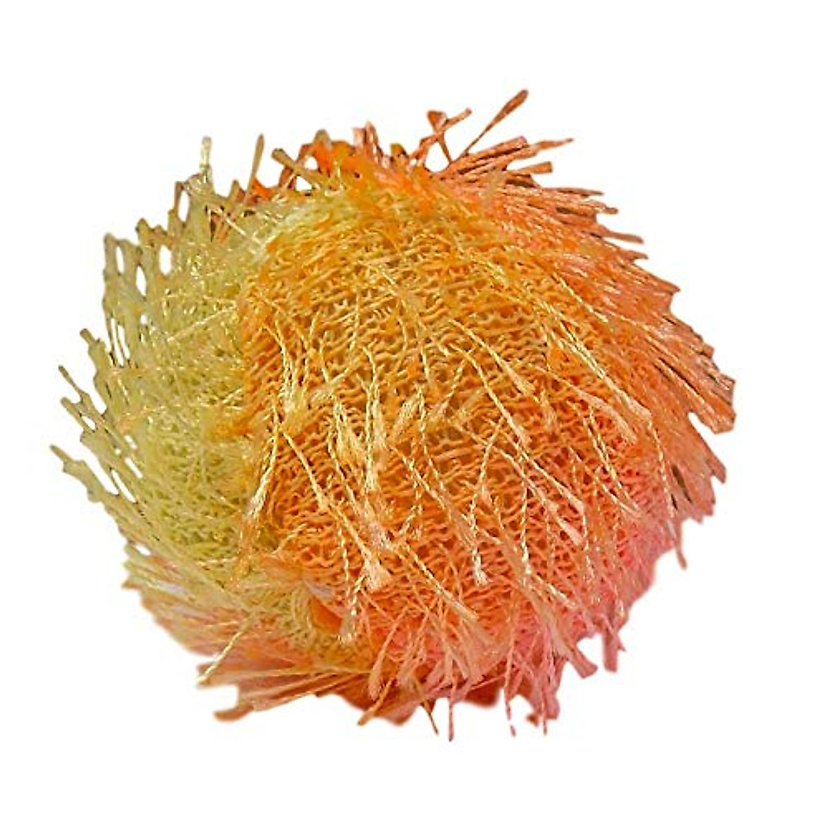 Royal Canin Cat Food 3 Flavor 6 Can Sampler, (2) Each: Urinary Care Slices in Gravy, Indoor Morsels in Gravy, Adult Instinctive Loaf (3 Ounces) - Plus 2 Catnip Toys and Fun Facts Booklet Bundle