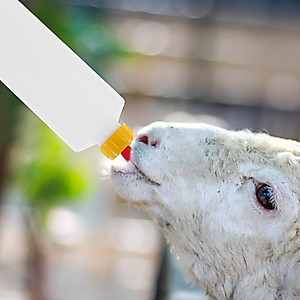 DOITOOL 5 Pcs 400ml Goat Bottles for Feeding Baby Goats,Lamb Nursing Lamb Feeding Bottle,Puppy Feeding Bottles,Small Animal Milk Drink Bottle,Plastic Milk Bottles for Newborn Animals