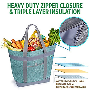 Creative Green Life Reusable Grocery Box Bags and Cooler Bag