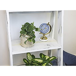 Altman Plants, Live Pothos Plants (4PK) Indoor Plants Live Houseplants, Pothos Live Plant House Plants Indoors Live Plants, Money Plant Indoor Pothos Plant Decor, Devils Ivy Trailing Plants Live