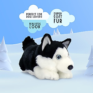 Aurora World Miyoni Black Lying Husky Plush - Super Soft 11" Realistic Stuffed Animal Toy