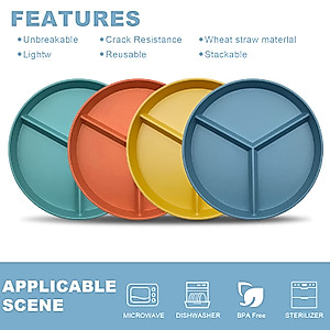 DYB DONGYONGBAO Portion Control Plate 9.6 Inch 8Piece, Divided Plates For Adults With 3 Compartments, Microwave And Dishwasher Safe，Suitable For Adult Weight Loss