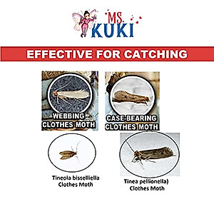 MS. KUKI Moth Traps for Clothes House Closet Home Clothing Indoor Storage Product Paper Cardboard Sticky Glue with Pheromones Prime No Pantry Kitchen Larder Storeroom Cooking Cellar Buttery (6 Pack)