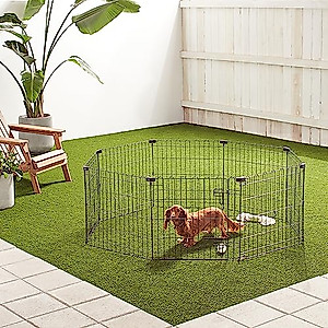 Amazon Basics - Octagonal Foldable Metal Exercise Pet Play Pen for Dogs, Fence Pen, Single Door, Extra Small, 60 x 60 x 24 Inches, Black