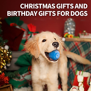 Dog Chew Toys for Aggressive Chewers, Puppy Teething Ring and Dog Ball, Treat Dispensing Dog Toys, Frozen Tough Puppy Toys Set 2 Pack for Small, Medium Dog