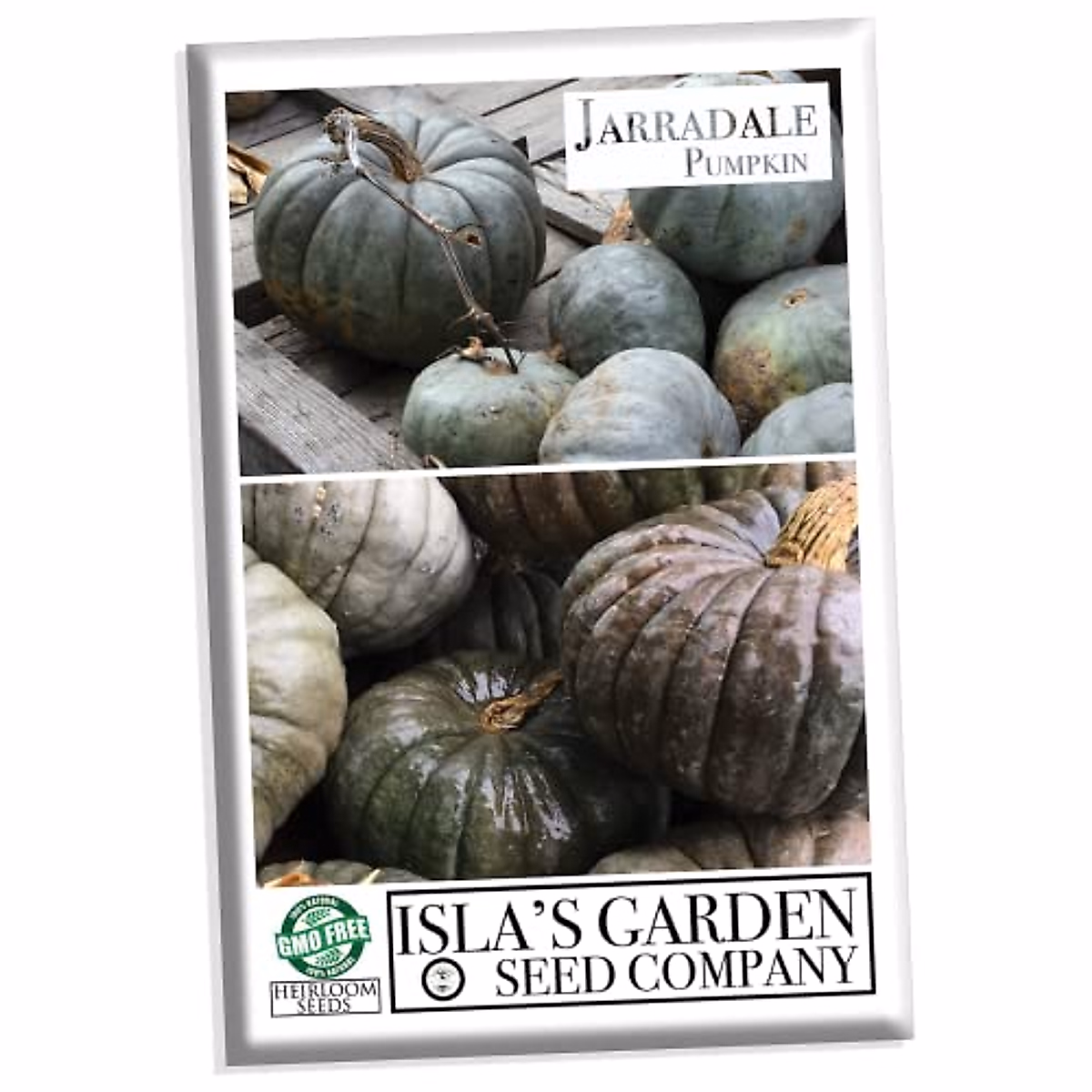 Jarradale Pumpkin Seeds for Planting, Pale Green Color, (Jarrahdale) 10 Heirloom Seeds, (Isla's Garden Seeds), Non GMO Seeds, Botanical Name: Cucurbita Maxima, Great Home Garden Gift