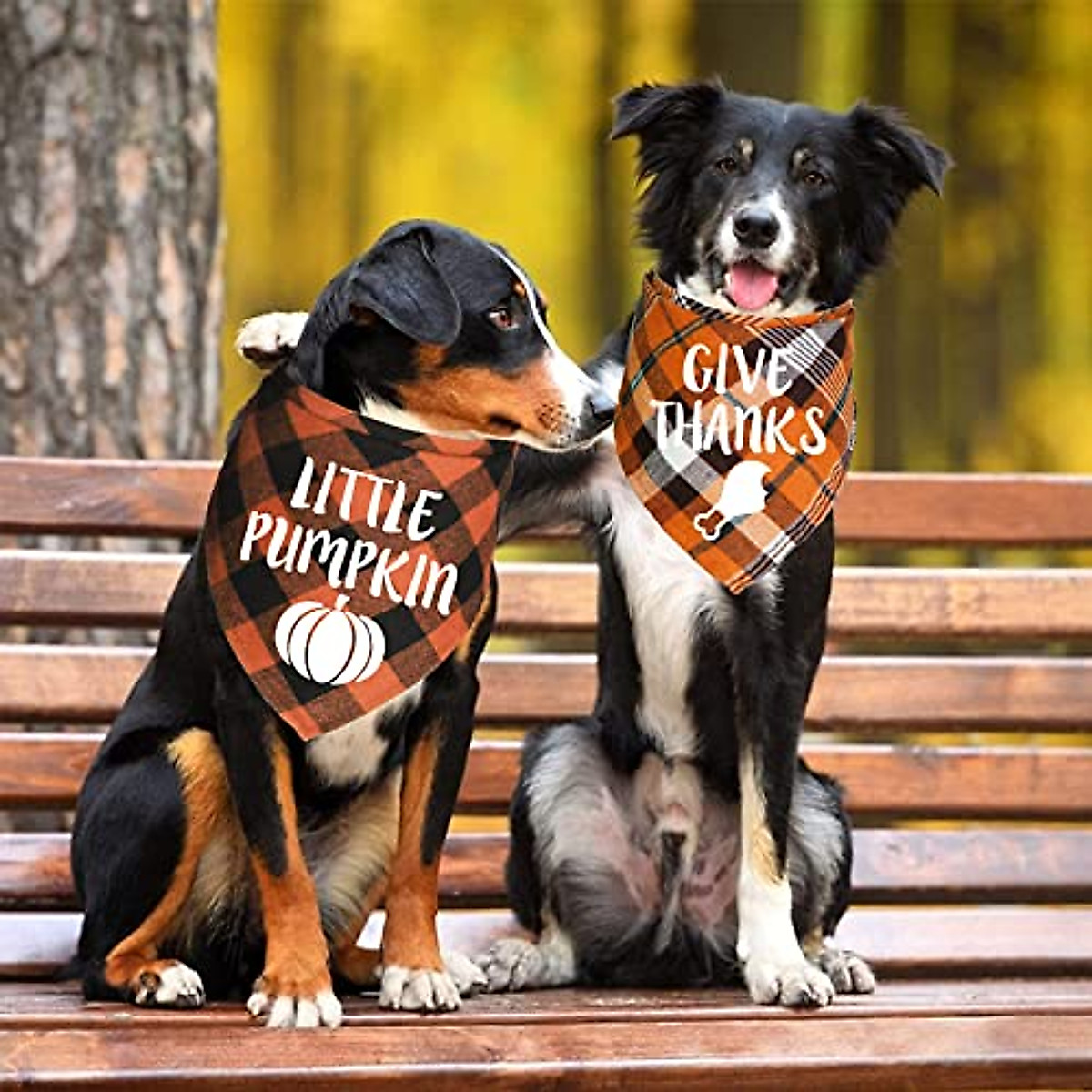 JOTFA 2 Pack Halloween Thanksgiving Day Dog Bandanas, Holiday Fall Plaid Dog Puppy Bandana Scarf Little Pumpkin Give Thanks Dog Costume for Small Medium Large Dogs Pets