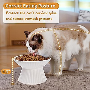 6.5" Extra Wide Ceramic Elevated Cat Bowl, Whisker Friendly Raised Cat Food Bowl for Food and Water, Anti-Vomiting High Cat Dish for Indoor Cats with Non-Slip Ring, Dishwasher Safe & Microwaveable