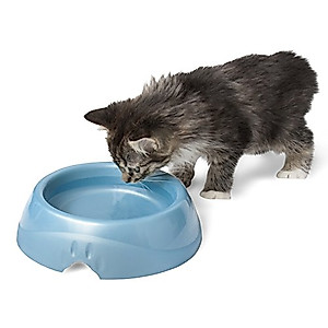 Petmate 23079 Pet Dish, Large