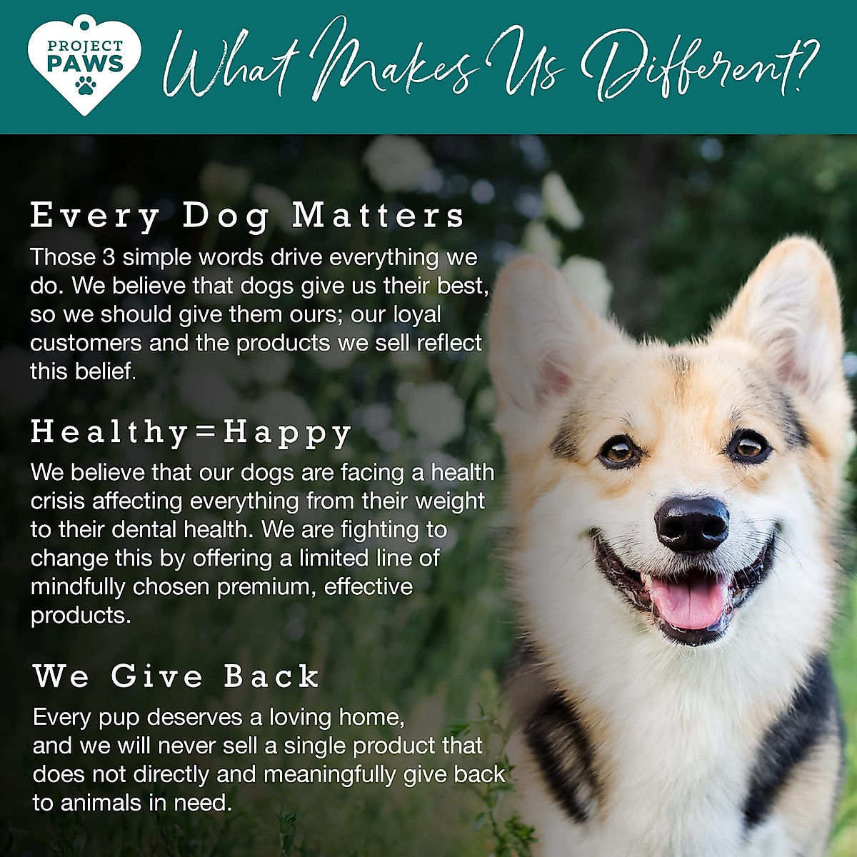 Project Paws Same for Dogs - Liver Support for Dogs with Vitamin B - Cognitive Dog Supplement - S Adenosyl Methionine for Dogs - 60 ct.