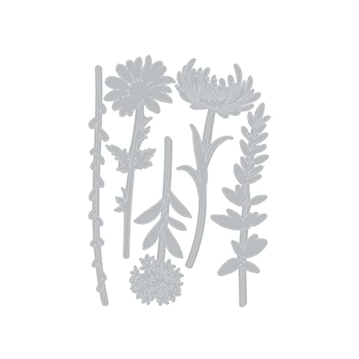 Sizzix Thinlits Die Set , Wildflower Stems #1 by Tim Holtz, 5 Pack, One Size, Multicolor 5 Piece