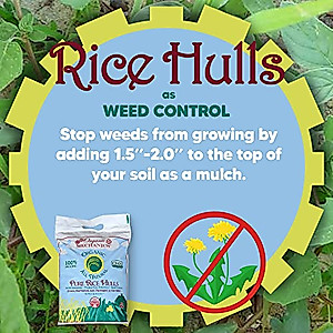Organic Mechanics Pure Rice Hulls - Perlite Substitute Soil Amendment for Gardens, 8 Quart Bag