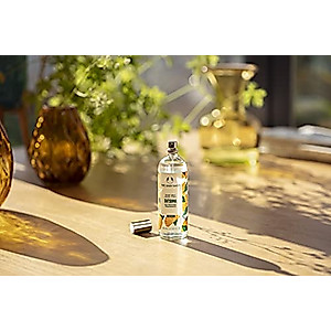 The Body Shop Satsuma Body Mist – Refreshes and Cools with a Citrus Scent – Vegan – 3.3 oz