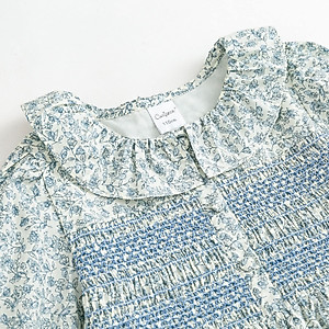 Curipeer Baby Girls Long Sleeve Floral Dress Flower Printed Smock Toddler Ruffle Dress for Autumn and Spring Blue 12M