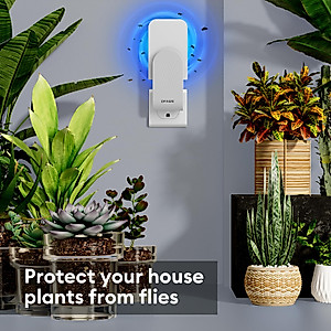 2 Pack Fly Trap Indoor(2 Device + 10 Glue Cards), Mosquito Killer, Plug-in Flying Insect Trap for Mosquito, Flies, Fruit Flies, Moths, Gnats