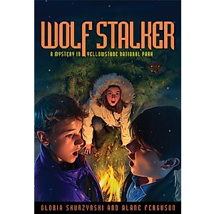 Mysteries in Our National Parks: Wolf Stalker: A Mystery in Yellowstone National Park