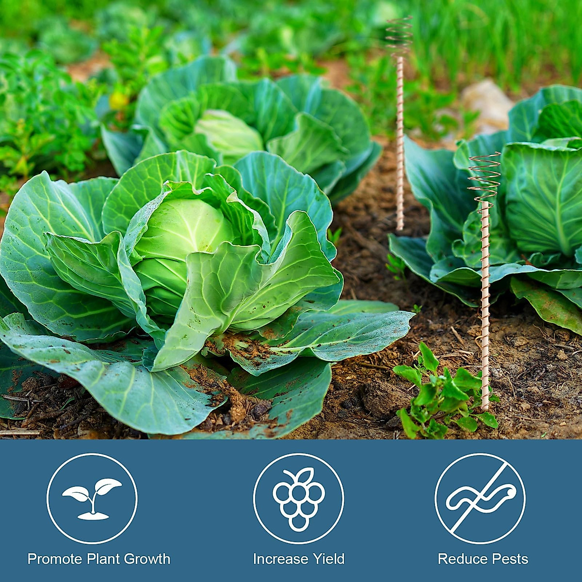 10pcs Electroculture Plant Stakes 20” Copper Gardening Antenna Clockwise Wound Copper Coil Electronic Planting for Outdoor Indoor Promote Vegetables Plants Growth Using Atmospheric Ether Energy