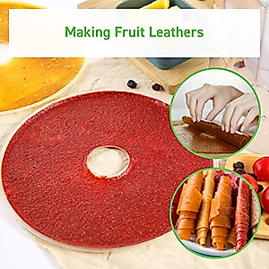 COSORI Food Dehydrator Machine Fruit Roll Sheets, BPA-Free Plastic Tray Liners for Fruit Leather/ Roll, Meat, Beef jerky, Herb, Vegetable, CFD-FR051-WUS, 2Pack