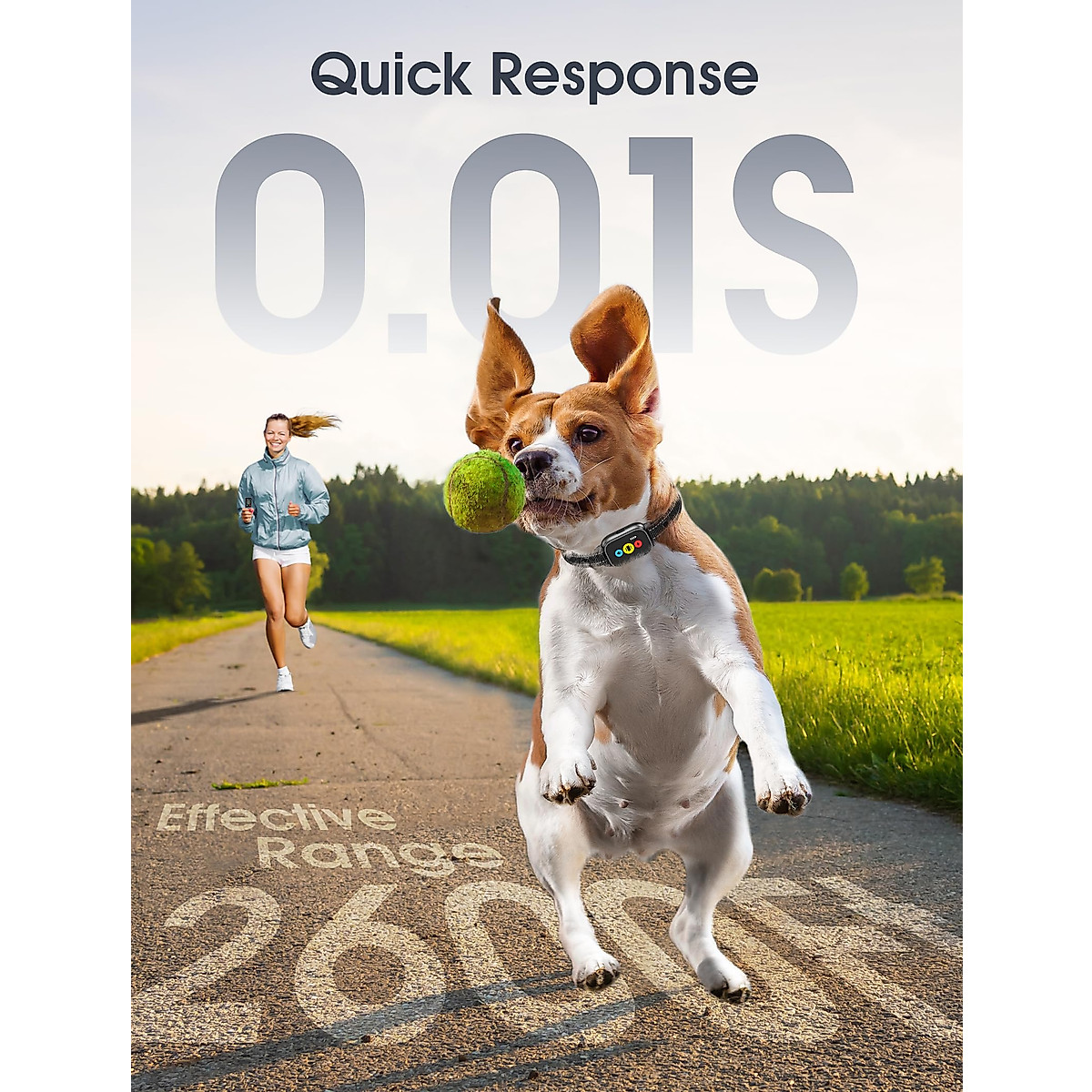 Dog Training Collar with Remote, Smart Dog Shock Collar with 3 Training Modes and Training Icons, Waterproof Electric Dog Shockers for Large and Medium Dogs (8-120 LBS)