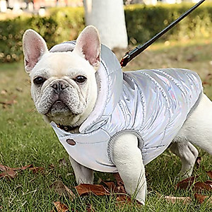 Dog Fleece Hoodie, Windproof Waterproof Dog Coat Fleece & Cotton Lined Warm Dog Jacket, Cold Weather Pet Apparel Clothes Vest for Small Medium Large Dog (S: Length 10.6", Chest 11.8"-15", Silver)