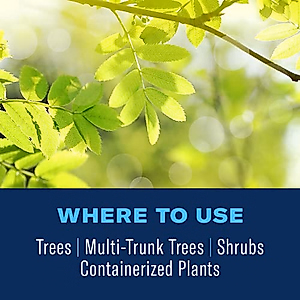 BioAdvanced 12 Month Tree and Shrub Protect and Feed II, Concentrate, 1 Gal