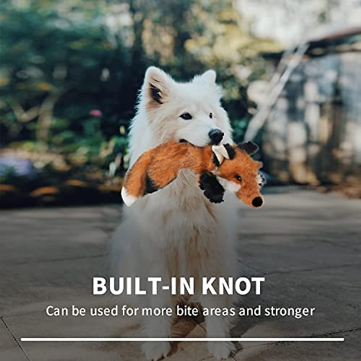 ALL FOR PAWS Squeaky Dog Toys,Animal Plush Dog Toy,Stuffed Dog Toys,Puppy Toys for Teething Small Dogs