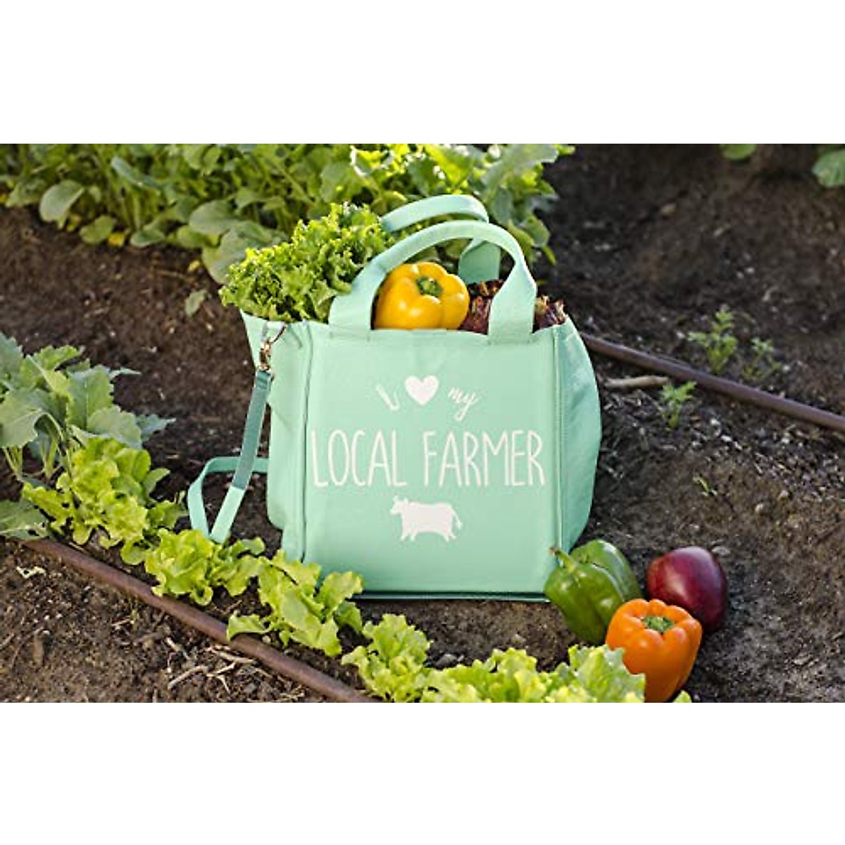 Cricut Everyday Iron On - 3.7” x 2ft 3 Rolls - Includes Neon Pink, Yellow, Green - HTV Vinyl for T-Shirts - Use with Cricut Explore Air 2/Maker - Neon Glowsticks